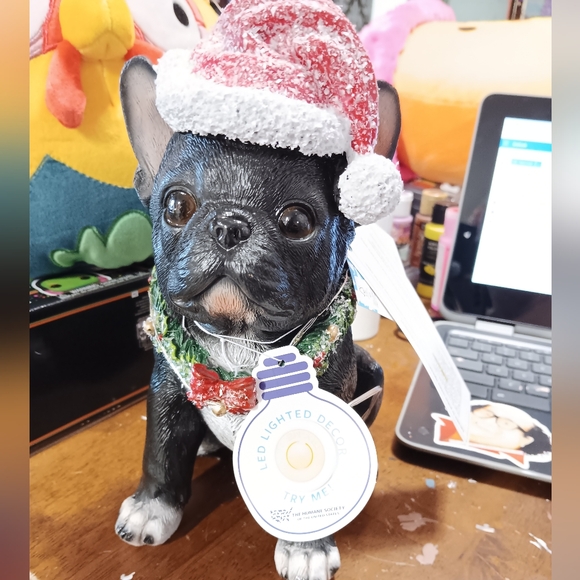 humane society | Holiday | Nwt Resin Frenchie Led Lighted Christmas ...